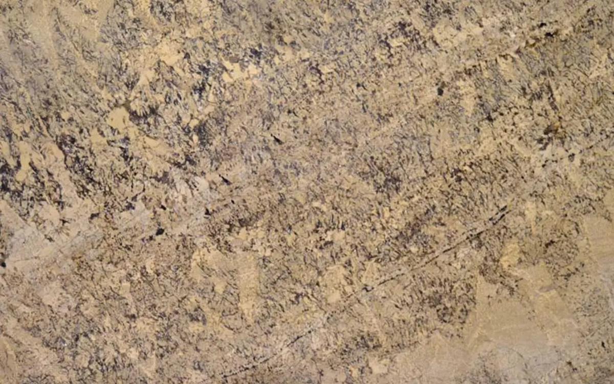 Star Reef Granite Countertops in Charlotte | ECG of Charlotte