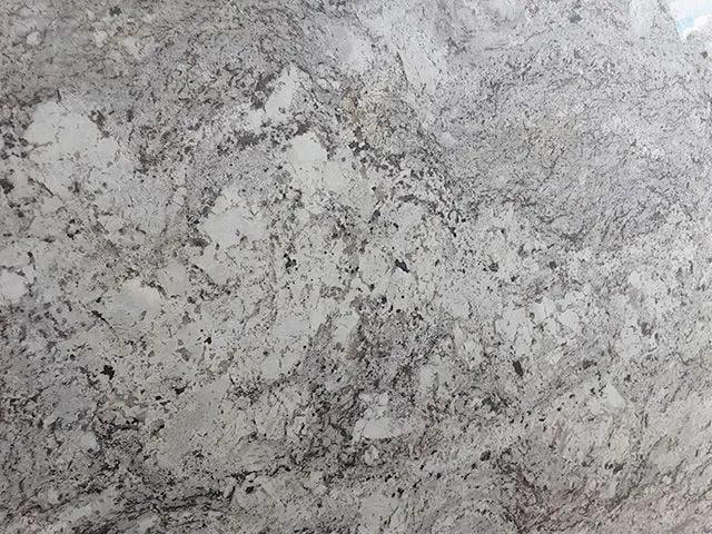 Star Reef Granite Countertops in Charlotte | ECG of Charlotte