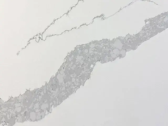 Calacatta Marcella Quartz Countertops in Charlotte | ECG of Charlotte